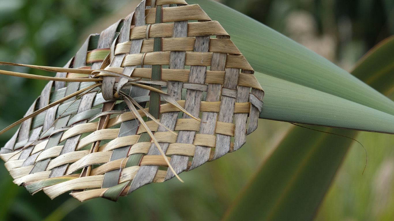 Raranga Workshop - Green Bay High School